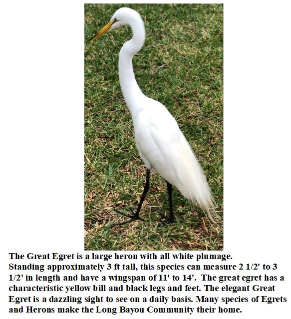 Welcome to Long Bayou Condos!